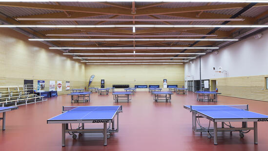 TABLE TENNIS