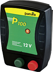 P100