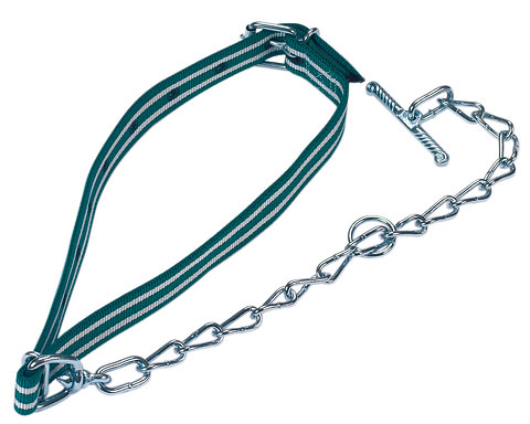 Ogrlica i lanac za telad