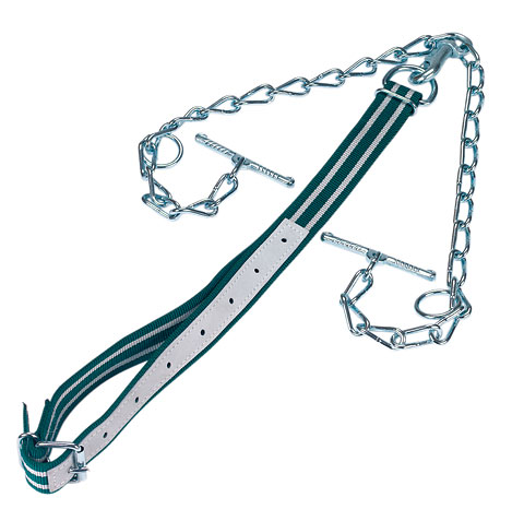 Ogrlica i lanac za telad