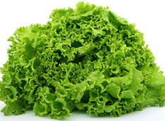 Zelena salata (posno) 1kg