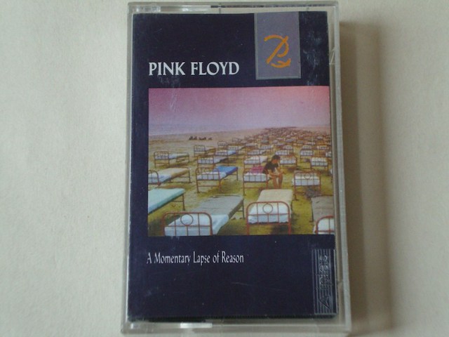 Pink Floyd - A Momentary Lapse Of Reason