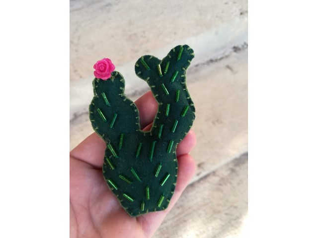 Bros kaktus, nov, sa pink ruzom