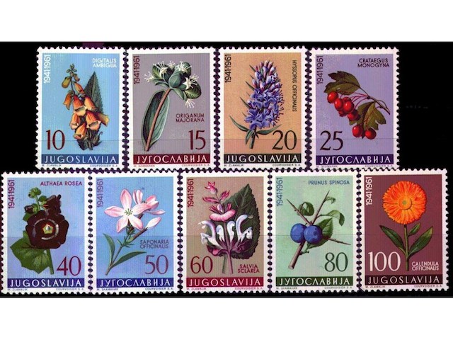 FLORA 1961