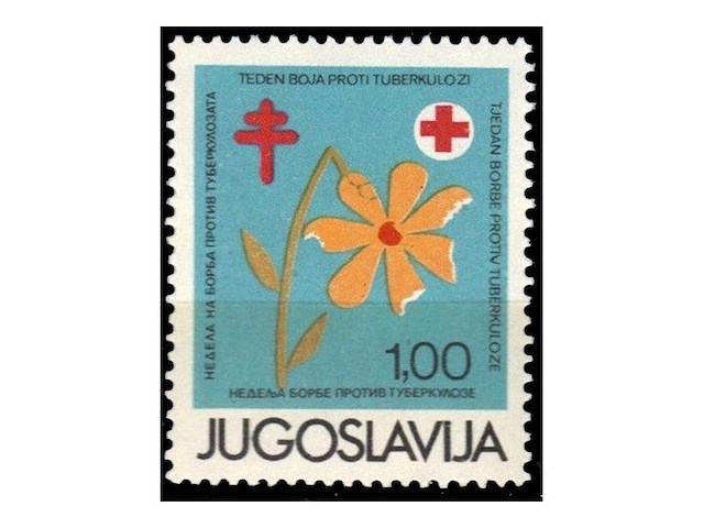TUBERKULOZA 1975