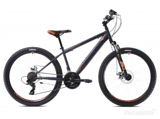 Raven 26" xc 2020