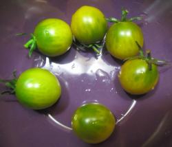 Zeleni cherry (super ukusan!) seme