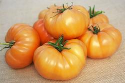 Narandzasti Beefsteak paradajz (seme) heirloom