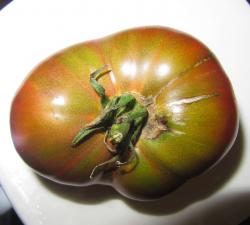 Stara sorta paradajz (odlican!!!) heirloom seme