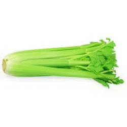 Celer Liscar (seme)
