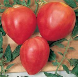 Volovo srce paradajz (seme)