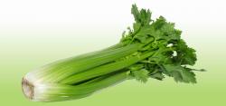 Celer Liscar (seme)