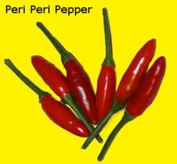 Piri - piri - Cili paprika (seme)