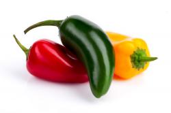 Jalapeno paprika - Cili paprika (seme) Halapenjo