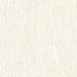 Pol. Polished porcelain tiles 600×600 CK6021