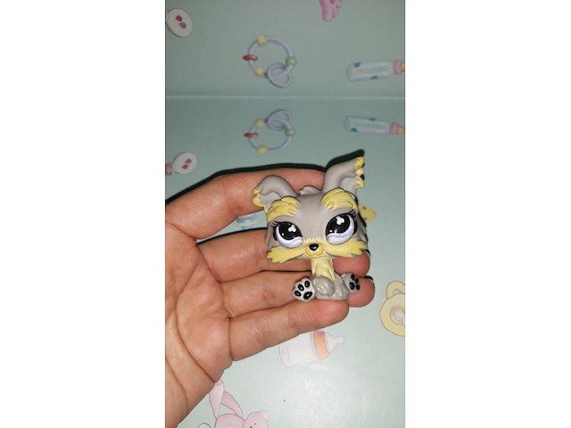 Littlest pet shop Lps 6