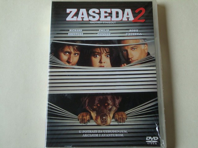 Another Stakeout [Zaseda 2] DVD