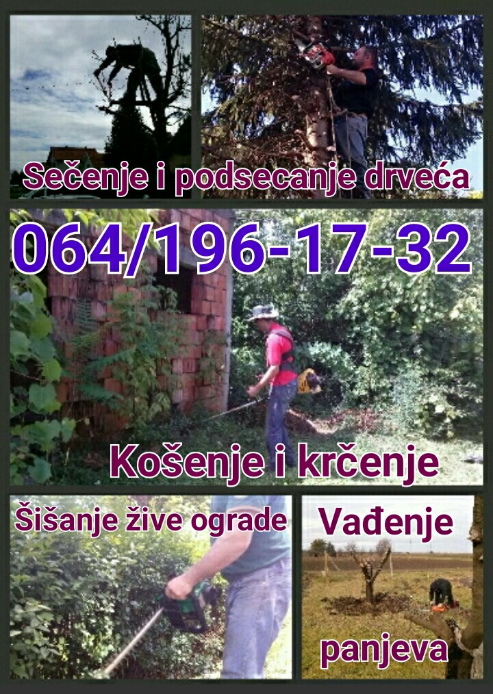 Kosenje trave – Sečenje drveća