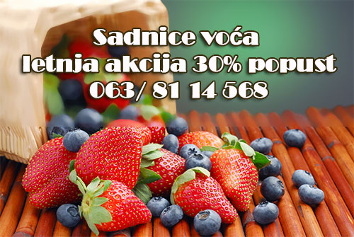 30% Popust – Sadnice voća AKCIJA