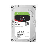 1 TB Seagate ST1000VN002 3.5"