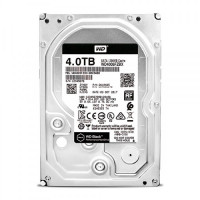 4 TB Western Digital WD4005FZBX 3.5"