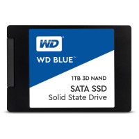 1 TB Western Digital WDS100T2B0A