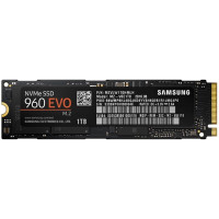 1 TB Samsung 960 EVO MZ-V6E1T0BW