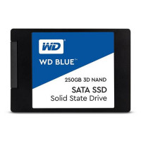 250 GB Western Digital WDS250G2B0A