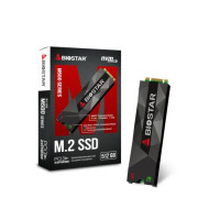 512 GB Biostar M500512GB