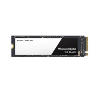 250 GB Western Digital WDS250G2X0C