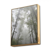 Energy Sistem Frame Forest