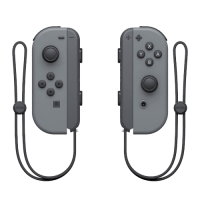 Nintendo Switch Joy-Con Pair Grey