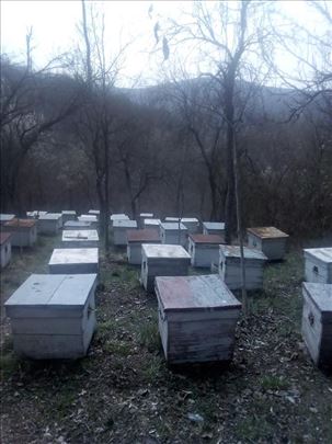 Na prodaju pčelinja društva