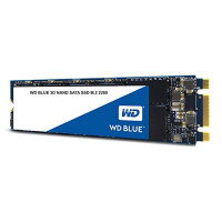 1 TB Western Digital WDS100T2B0B