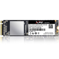 256 GB A-DATA ASX6000NP-256GT-C