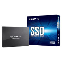 256 GB Gigabyte GP-GSTFS31256GTND