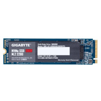 256 GB Gigabyte GP-GSM2NE3256GNTD