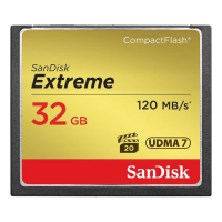 SD Card 32 GB SanDisk SDCFXSB-032G-G46
