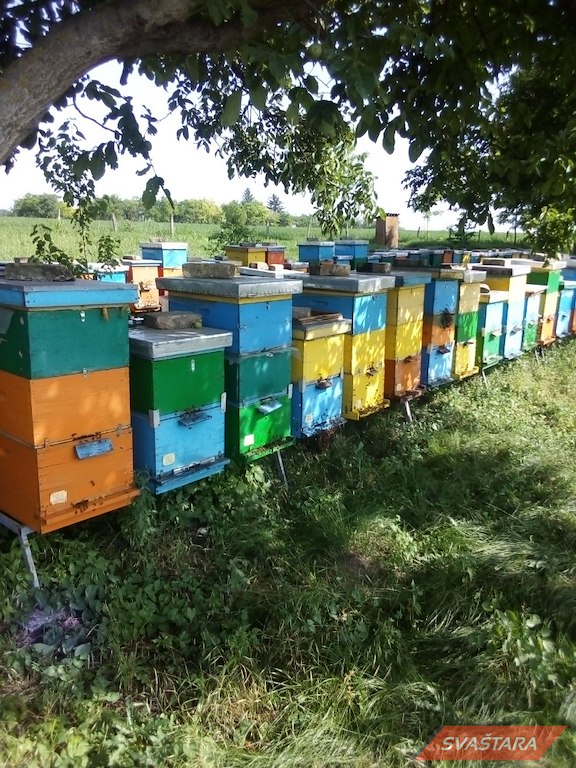 Prodajem pčele