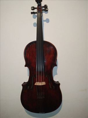 Viola 39