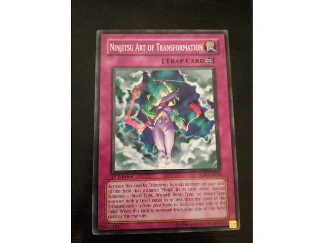 Yu-GI-OH!- Ninjitsu Art of Transformation