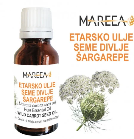 ETARSKO ULJE SEMENA DIVLJE ŠARGAREPE 10ML