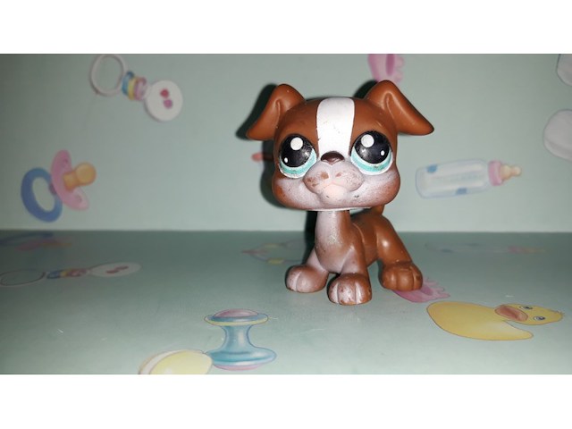 Littlest pet shop Lps  64