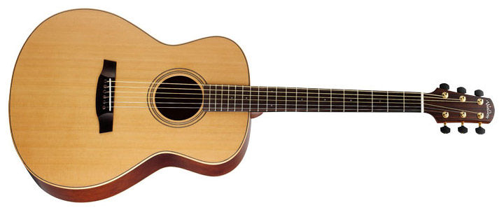 Walden G1070 SupraNatura akustična gitara