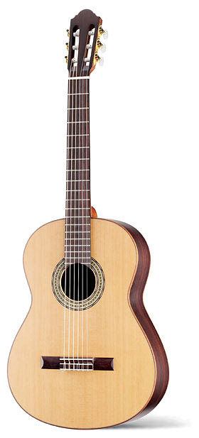Walden N2030 klasična gitara