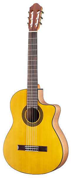Walden N550CE klasična gitara