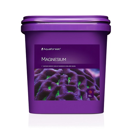 Magnesium 4kg