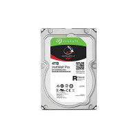 4 TB Seagate ST4000NE0025 3.5"