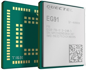 GSM EG91-EX (R08A04)