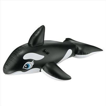 58561 Intex kit orka